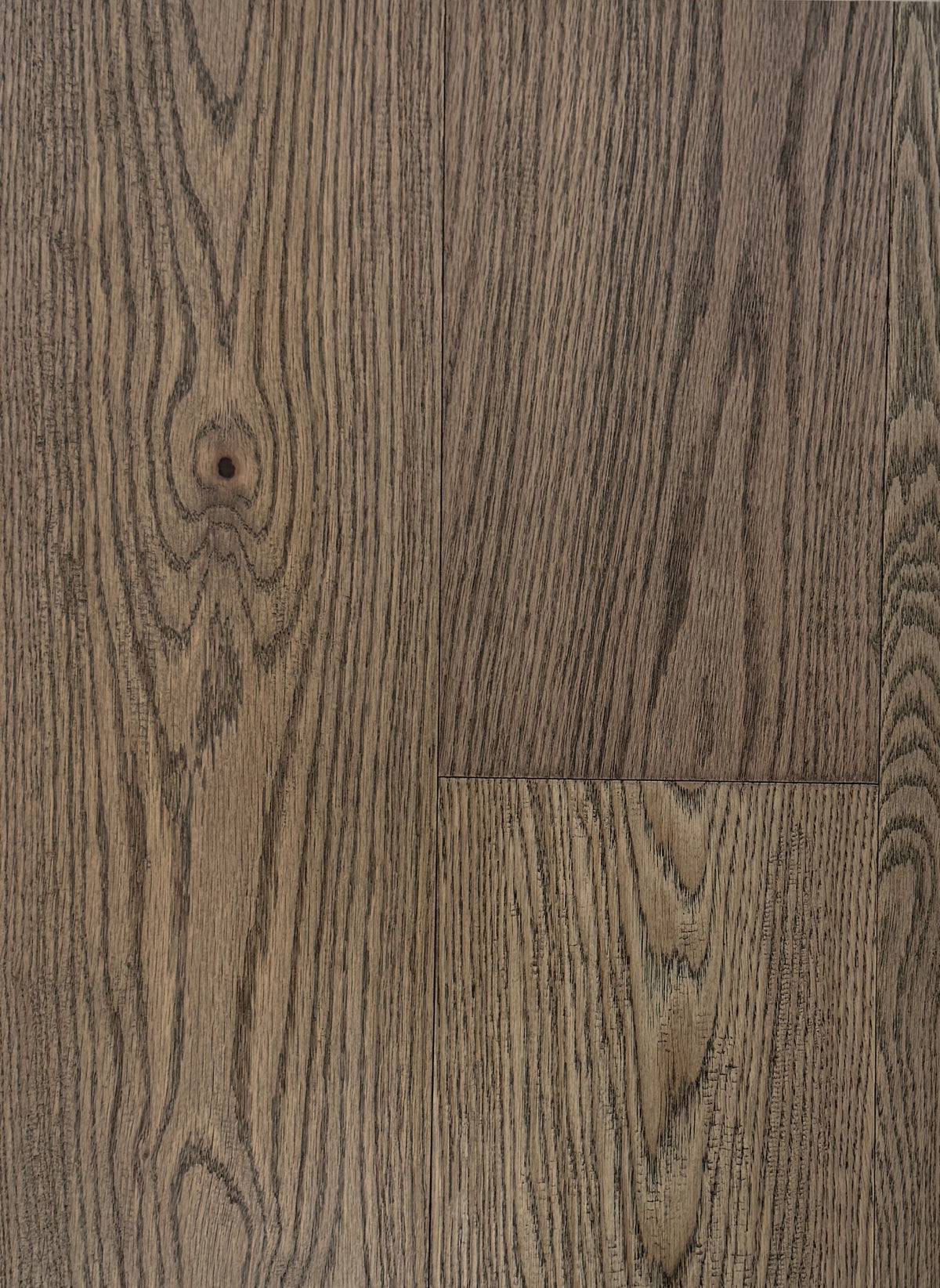 Oak Engineered Hardwood 02 - 6 1/2" x 3/4" x RL — Faiola Tile